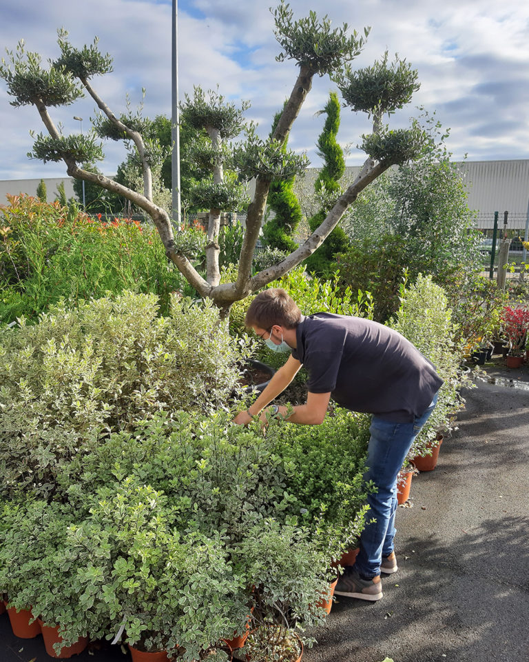 BTS TC UJAC - Lycée Charles Péguy